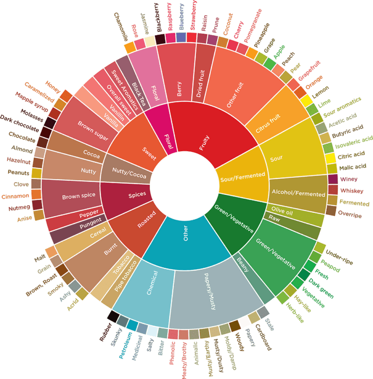 Exploring Coffee Flavor Profiles: Fruity to Nutty Delights
